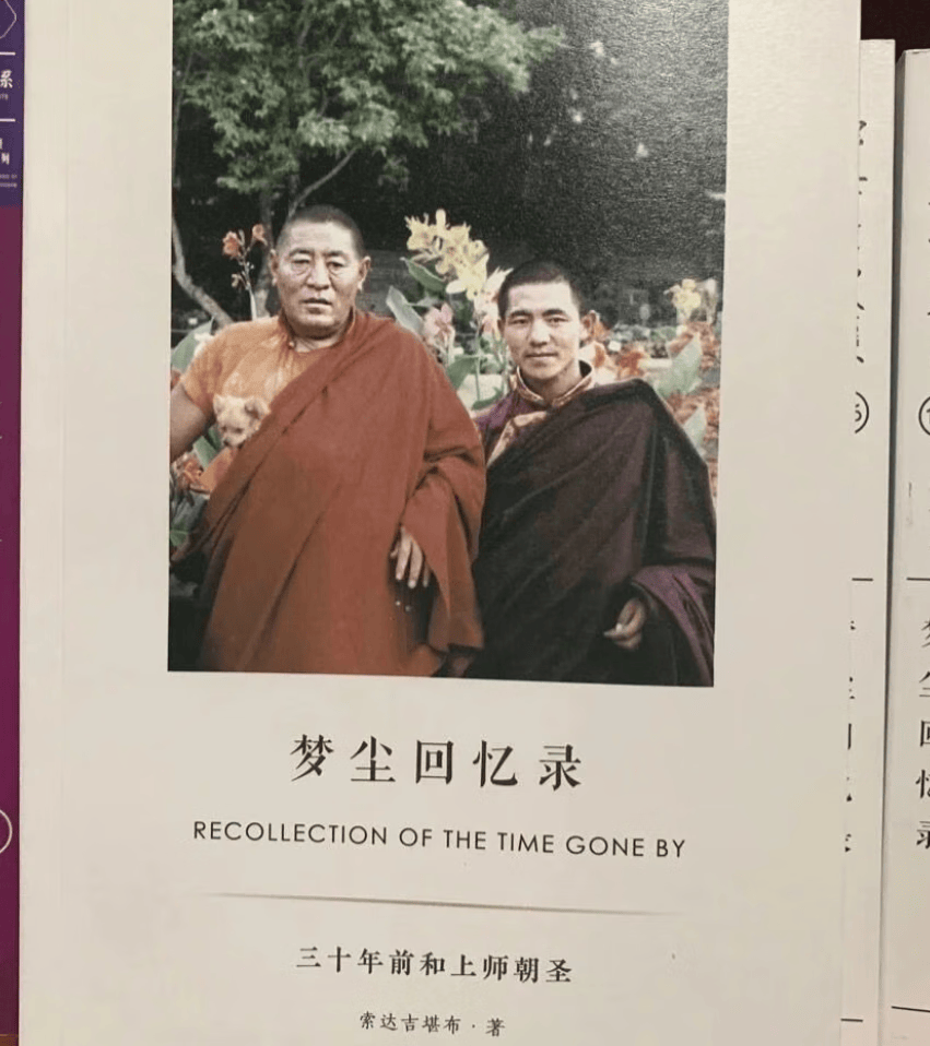 梦尘 回忆
