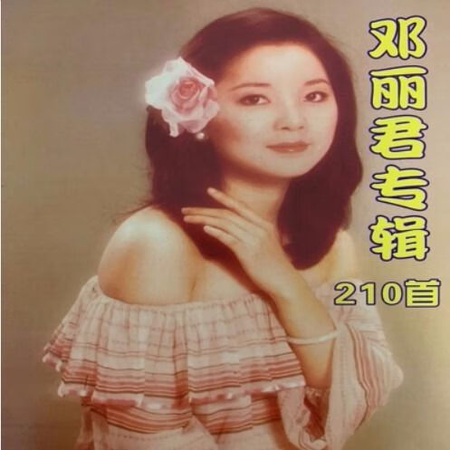 8G内存TF存储卡邓丽君歌曲全集210首老人收音机插卡音箱音频 8GB