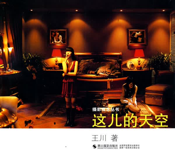 这儿的天空 王川【好书，下单速发】