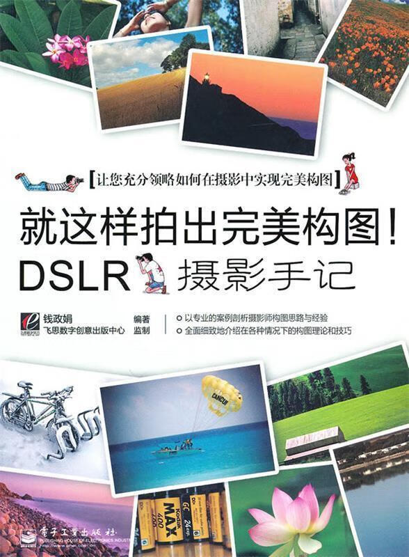 就这样拍出完美构图！DSLR摄影手记 钱政娟 编著【书】
