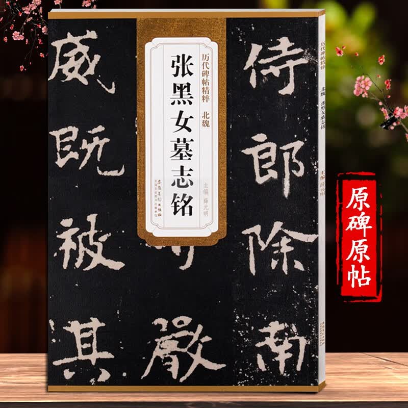 【现货速发】北魏张黑女墓志铭历代碑帖精粹简体旁注蔡元明魏碑楷书碑帖毛笔字帖北魏名家书法成人学生临摹