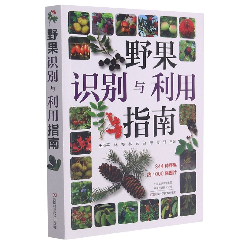 野果识别与利用指南