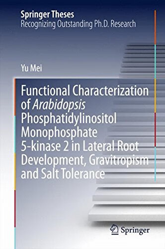 Functional Characterization of Arabidopsis Phosphatidylinositol Monophosphate 5-kinase 2 in