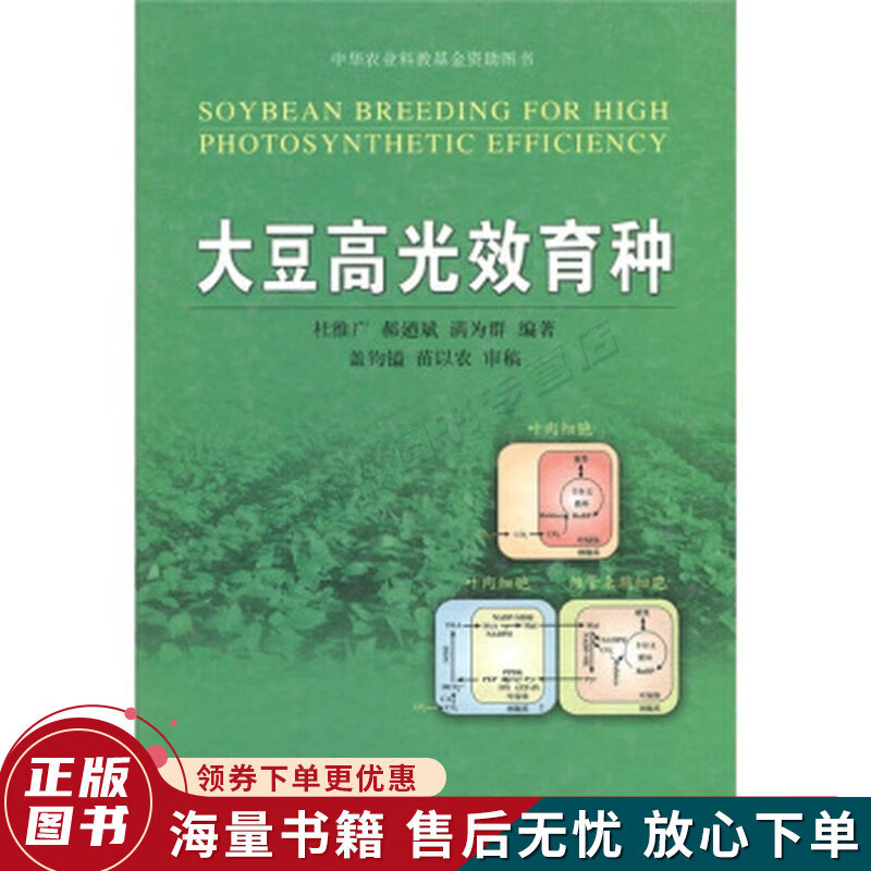 大豆高光效育种
