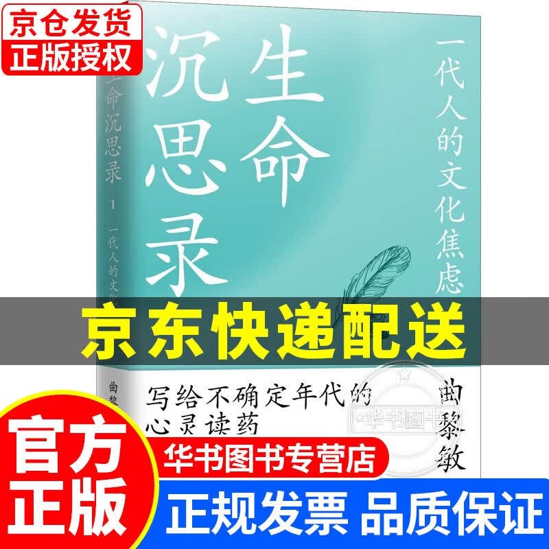 生命沉思录 1：一代人的文化焦虑