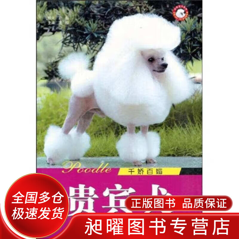 千娇百媚 贵宾犬【精选】