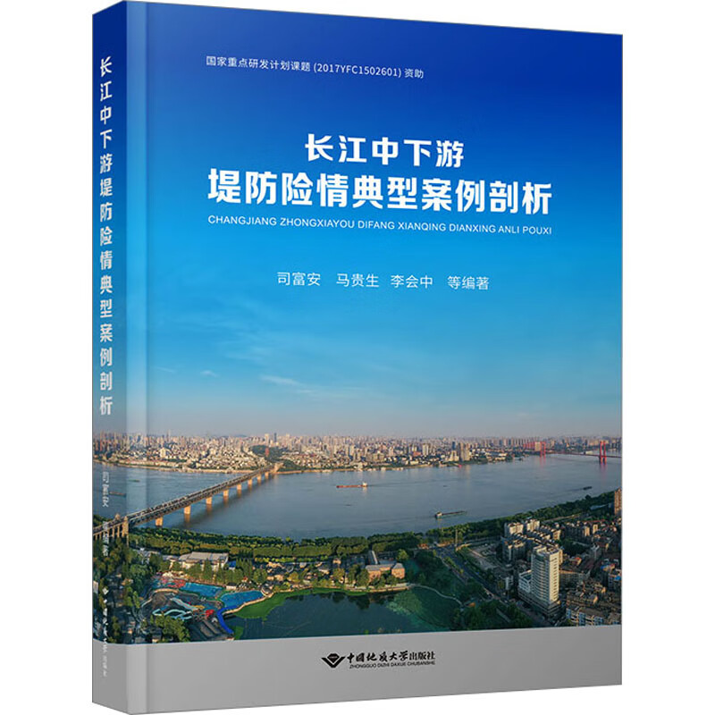 长江中下游堤防险情典型案例剖析 图书