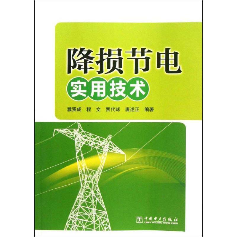 降损节电实用技术