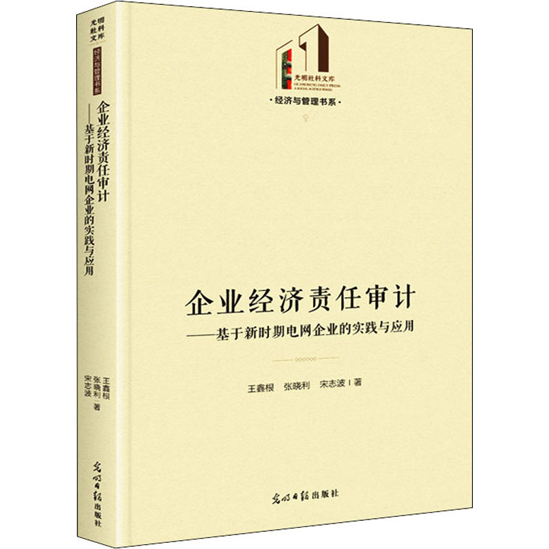 企业经济责任审计——基于新时期电网企业的实践与应用