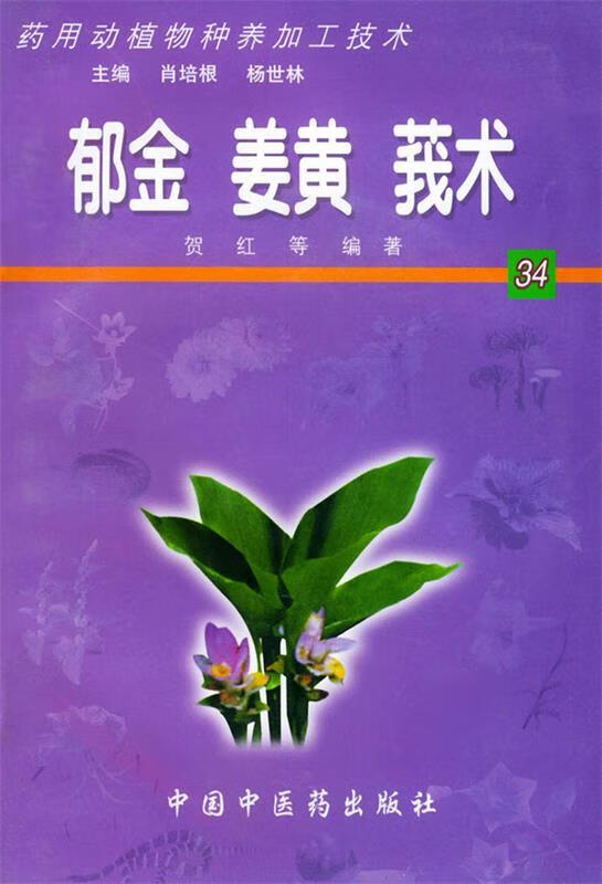 郁金 姜黄 莪术—药用动植物种养加工技术