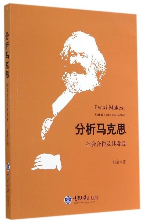 分析马克思 张静【书】