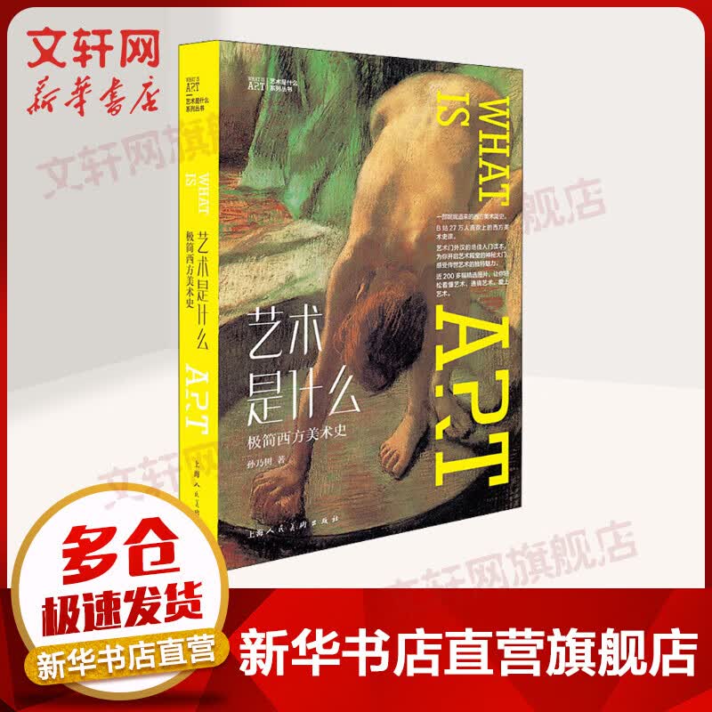 艺术是什么 极简西方美术史 图书