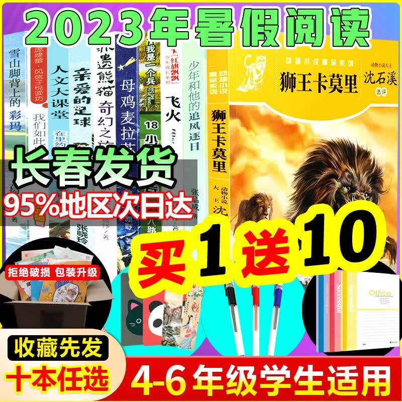 】少年和他的追风逐日红旗飘飘飞火我是一个兵少年运输兵失踪的木活字亲爱的足球我们如此勇敢狮王卡莫里母鸡麦拉苏人文大课堂在里约热内卢旅行 雪山脚背上的彩玛 4-6年级 10册