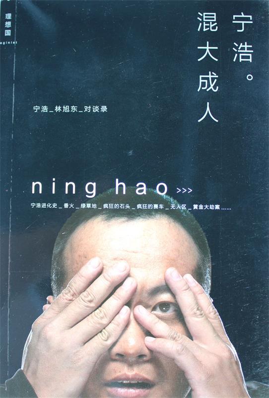混大成人 宁浩,林旭东【书】
