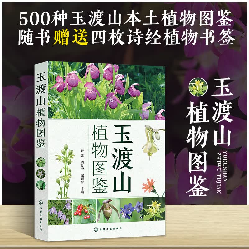 玉渡山植物图鉴
