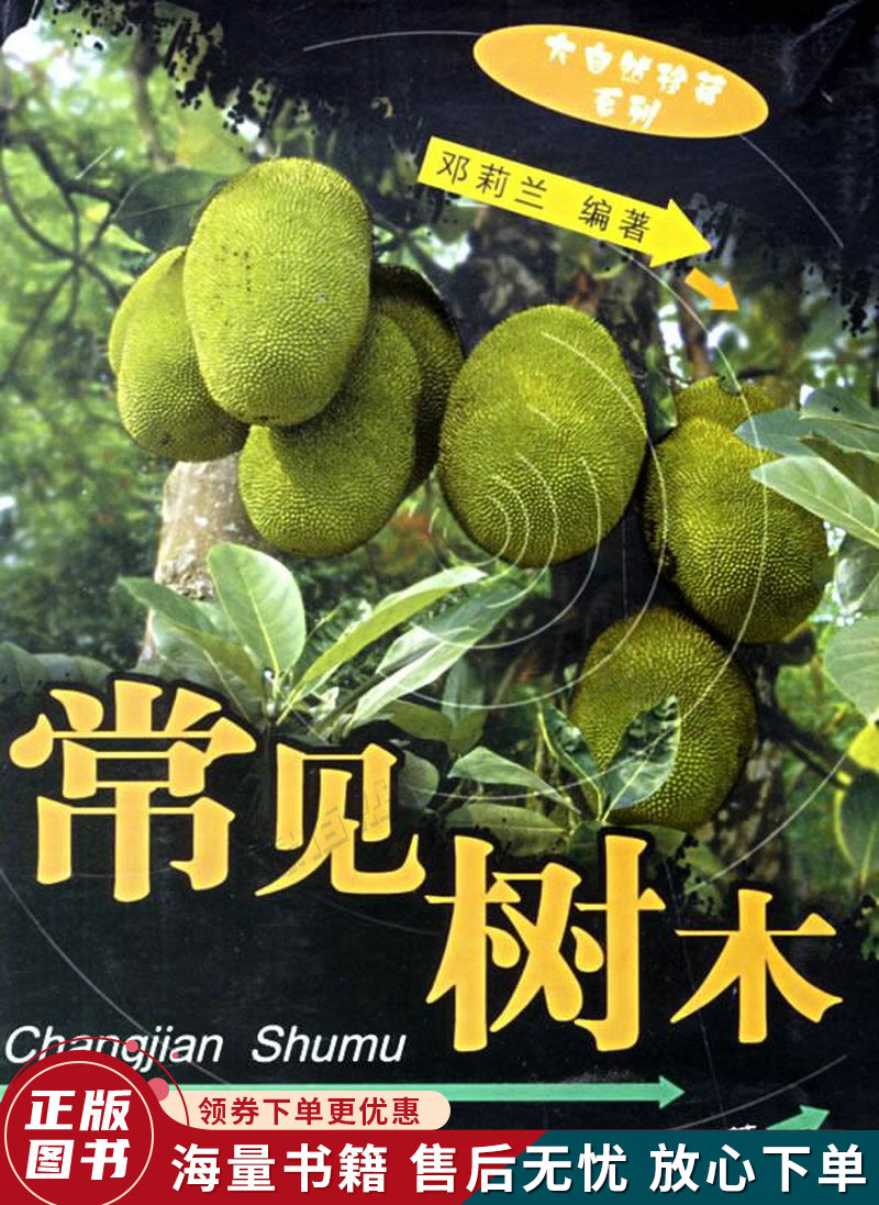 常见树木-2南方