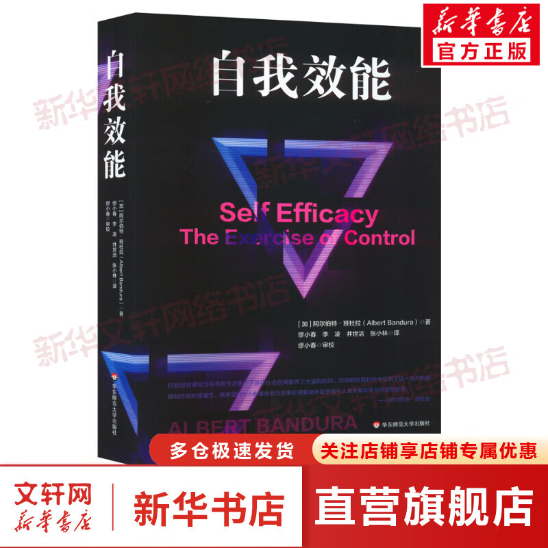 自我效能 单行本 图书