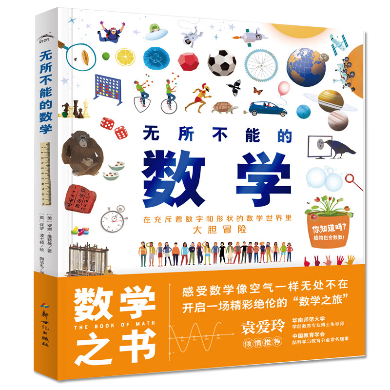 的数学之书精装二三四五六年级人教版数学知识点课外提高兴趣培养 的数学