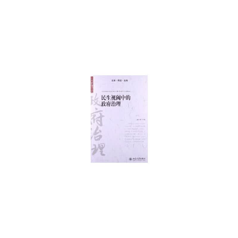 民生视阈中的政府治理