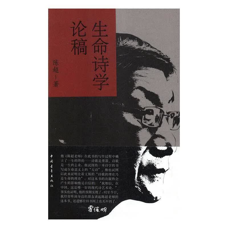 生命诗学论稿 陈超