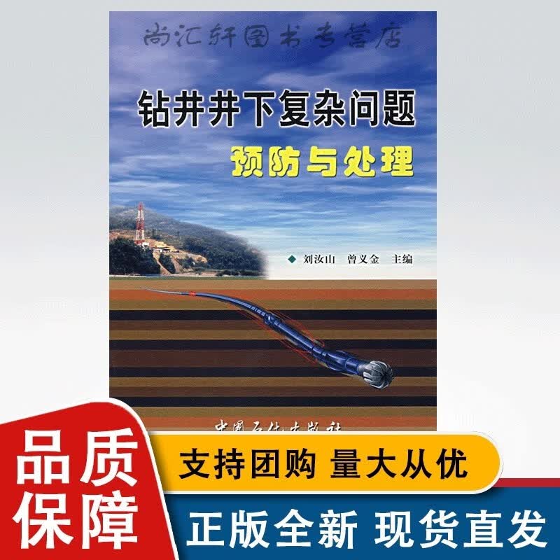 钻井井下复杂问题预防与处理 9787801648419 中国石化全新