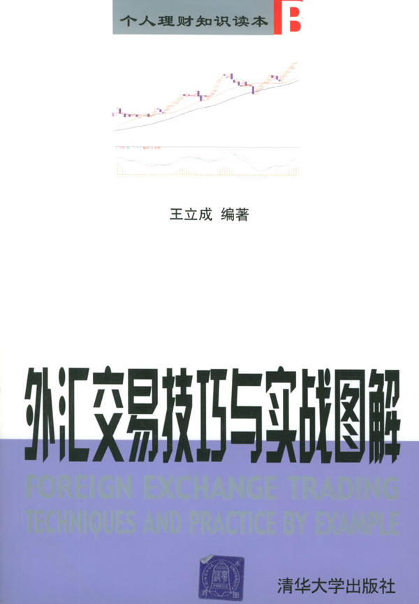 技巧与实战图解 王立成【，放心购买】