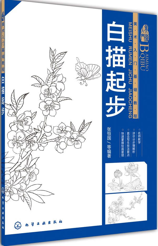 美术入门：白描起步