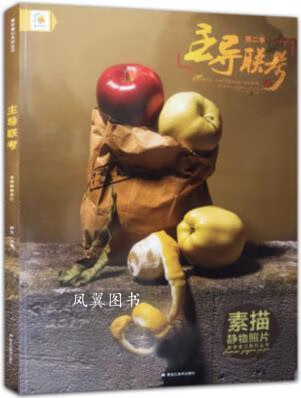 主导联考 第二季 素描静物照片 钟文主编 黑龙江美术出版社