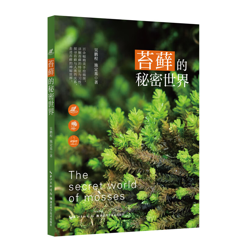 苔藓的秘密世界