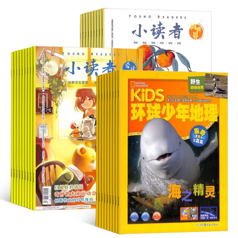 包邮环球少年地理+小读者爱读写+小读者阅世界组合杂志订阅 2023年10月起订 全年订阅 杂志铺 8-14岁少年儿童 写作素材积累写作技巧技能提升 美文展示佳作品读
