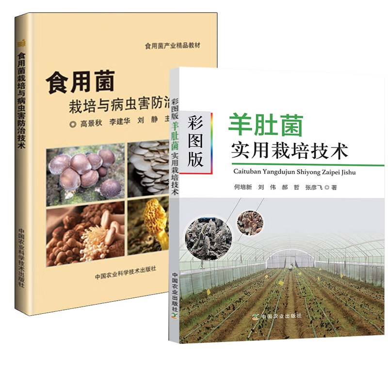 【全2册】彩图版羊肚菌实用栽培技术+食用菌栽培与病虫害防治技术羊肚菌大棚高效栽培技术大全食用菌栽培种植高产病虫害防治