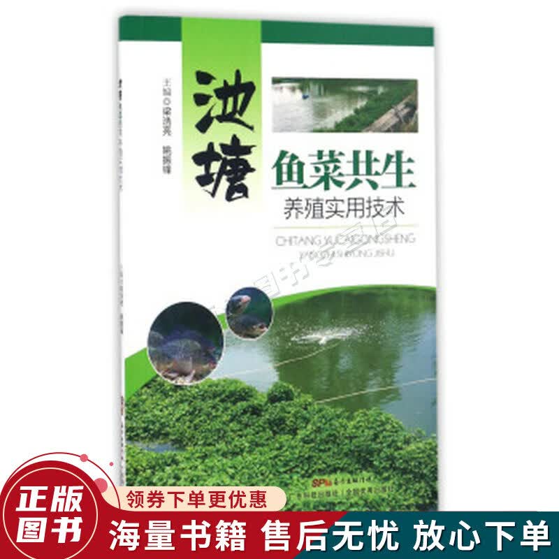 池塘鱼菜共生养殖实用技术