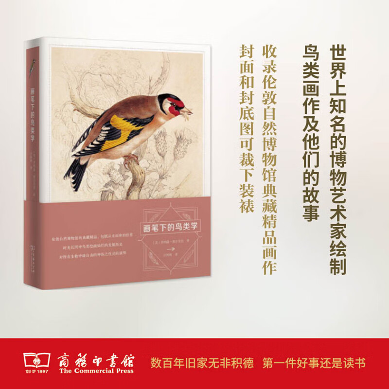 画笔下的鸟类学