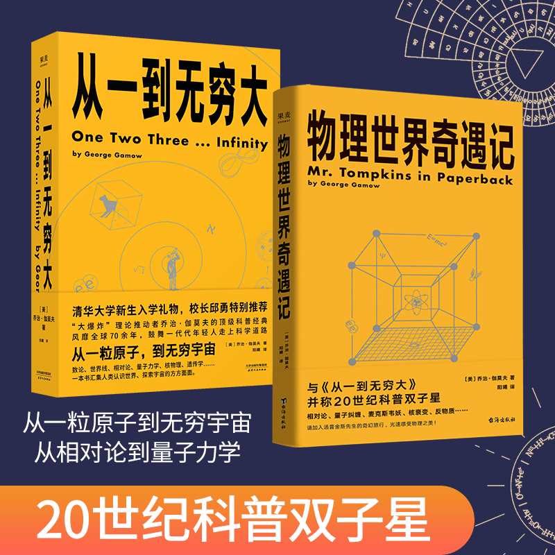 从一到无穷大+物理世界奇遇记（套装2册）乔治·伽莫 20世纪科普双子星 科普读物 数学 物理 果麦图书