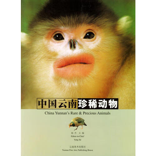 中国云南珍稀动物【现货】
