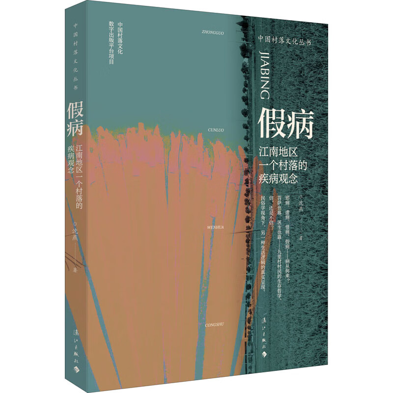 假病 江南地区一个村落的疾病观念 图书