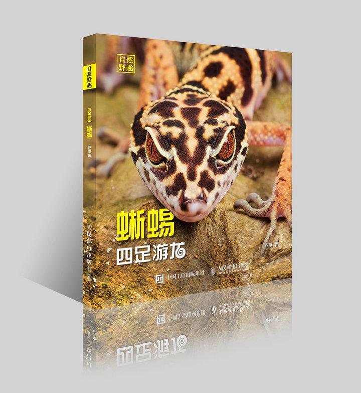 蜥蜴-四足游龙 齐硕