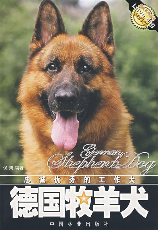 忠诚优秀的工作犬:德国牧羊犬 侯爽 编著【书】