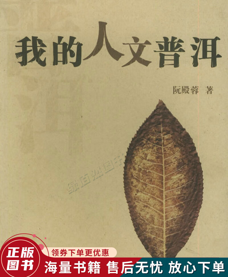 我的人文普洱