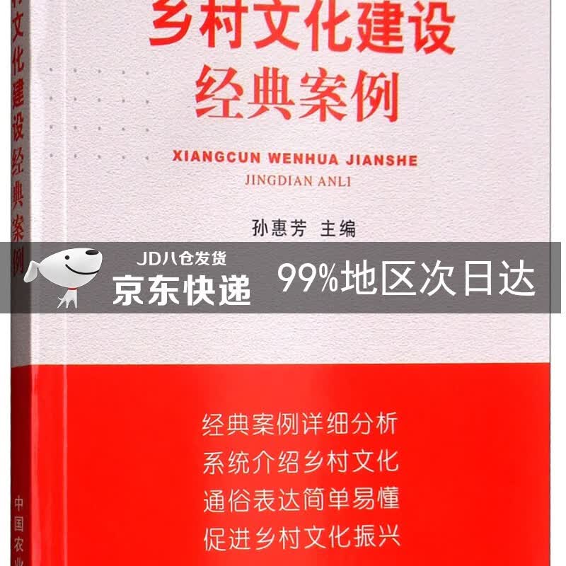 乡村文化建设经典案例