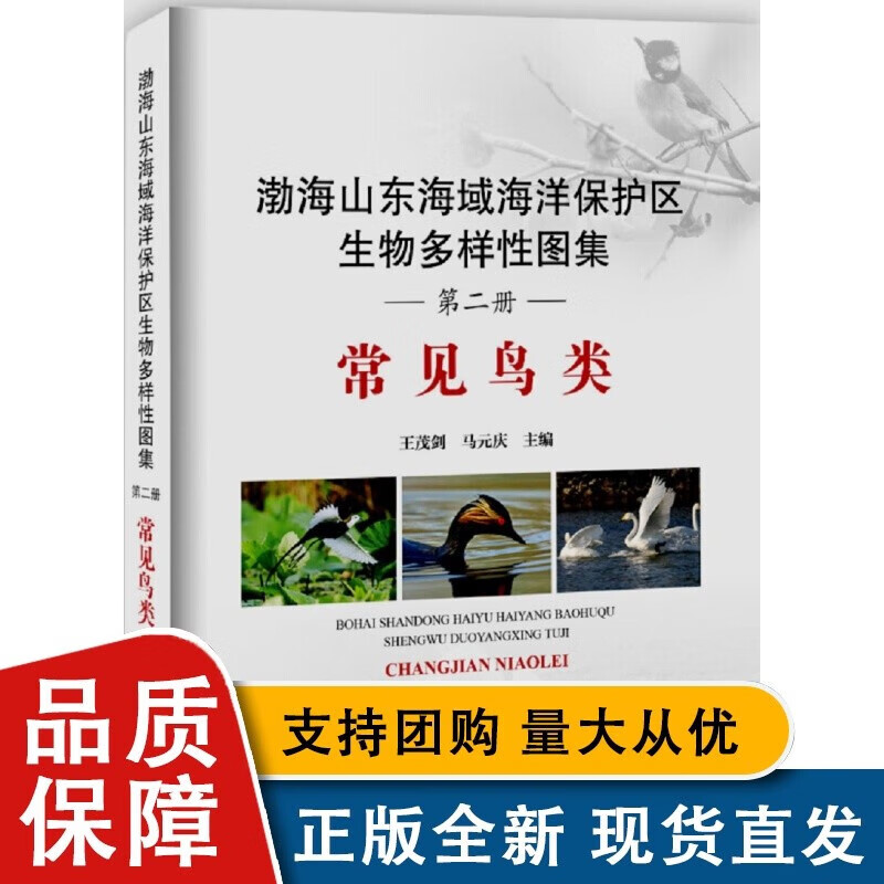中国海洋能技术进展(2017) 编者:海峰 环保 中国海洋全新