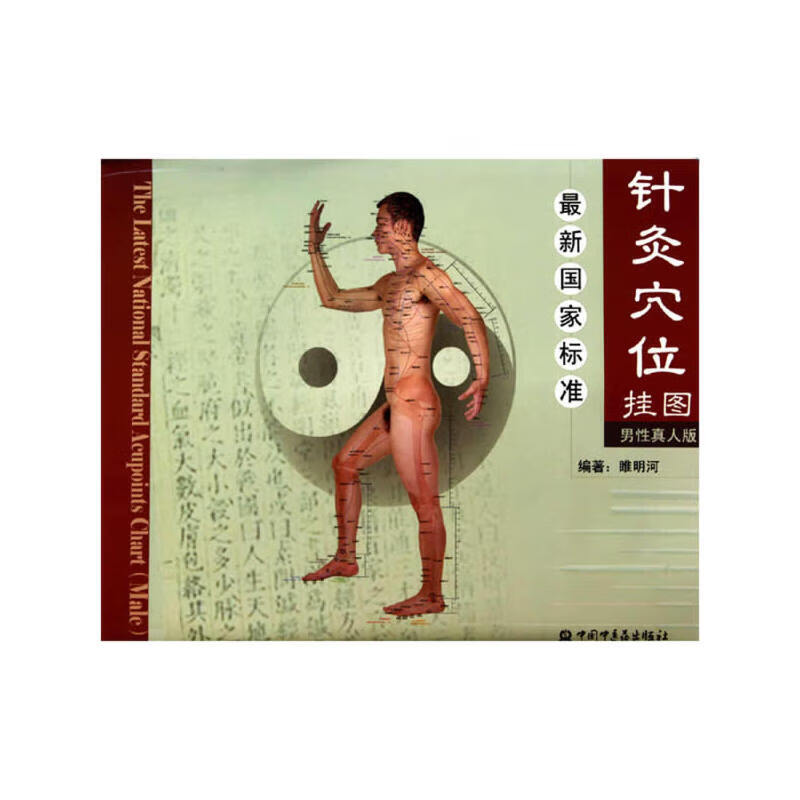 国家标准针灸穴位挂图（男性版）