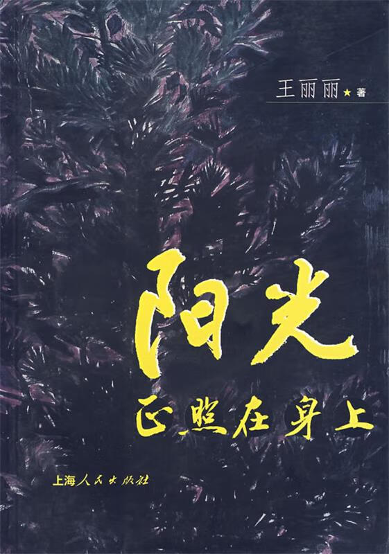 阳光正照在身上【现货】