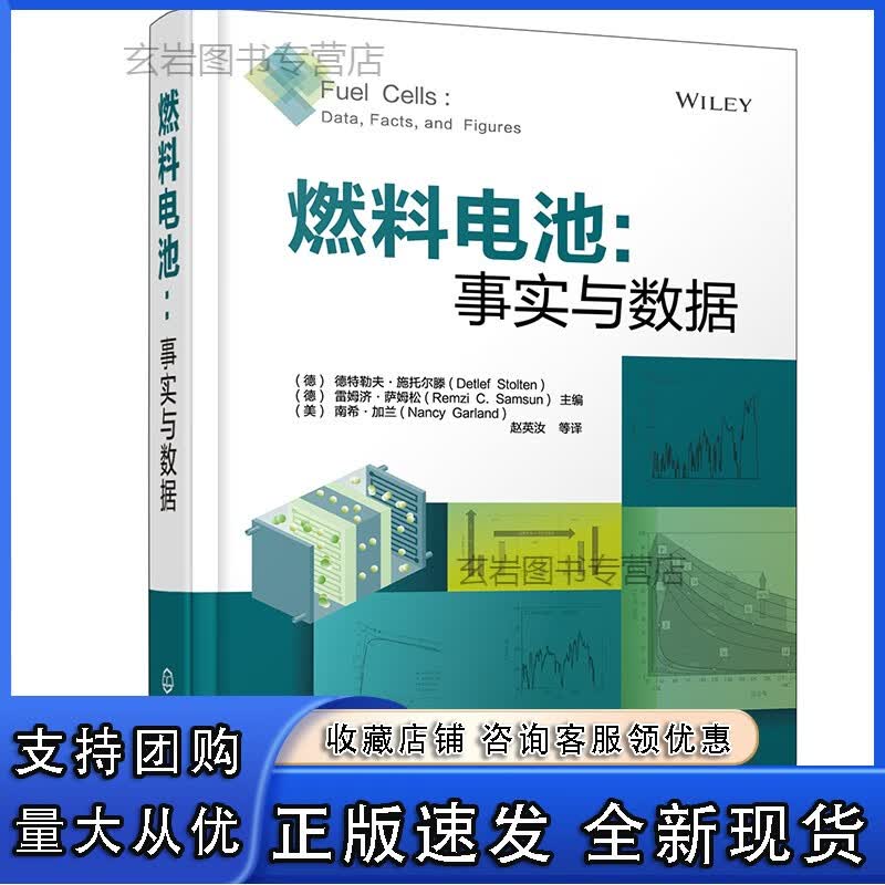 n燃料电池:事实与数据