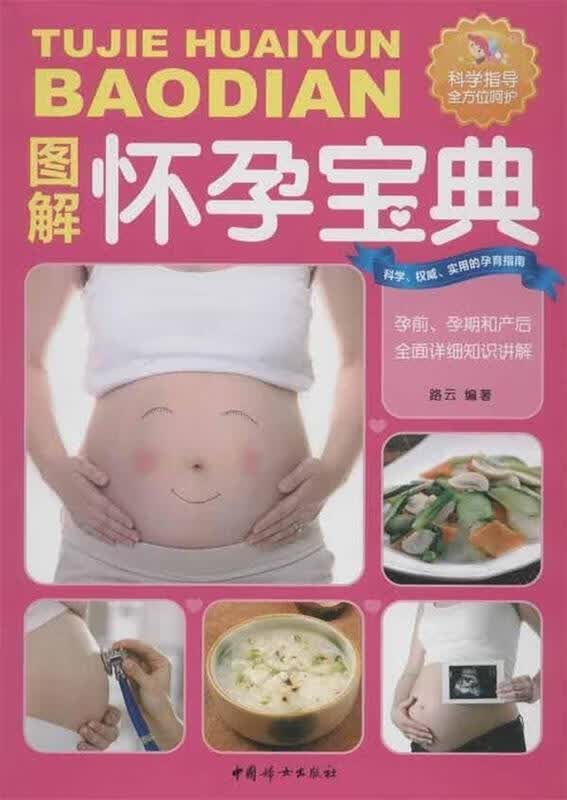 图解怀孕宝典 路云 著