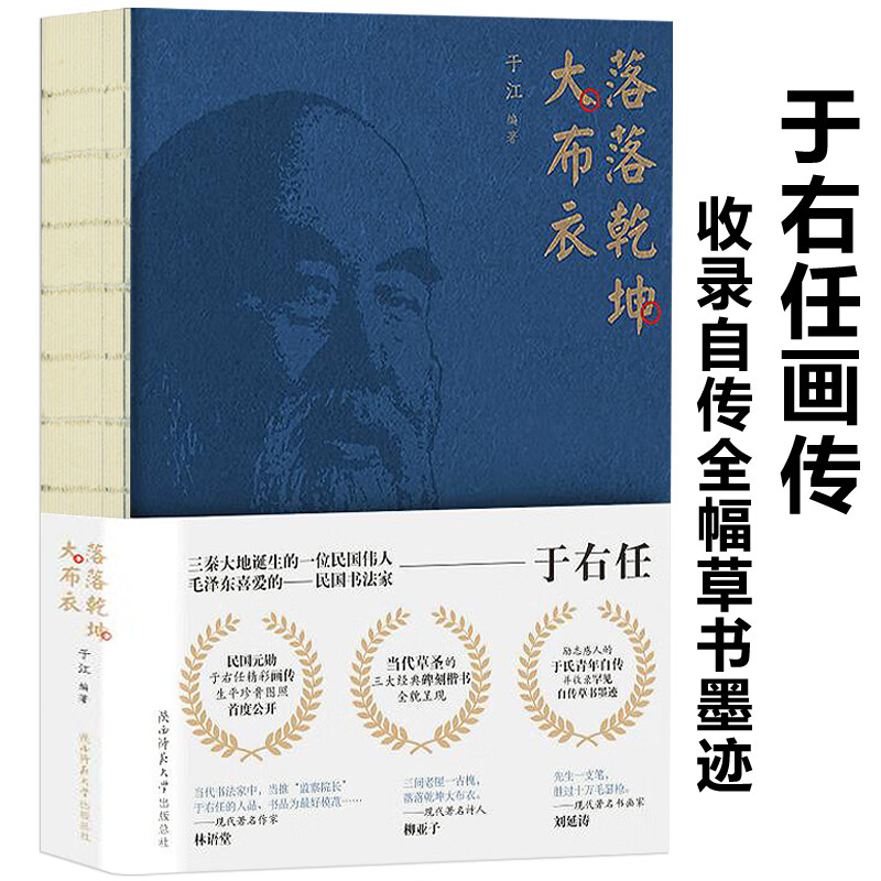 于右任画传 落落乾坤大布衣 标准草书大家于右任作品书法集书法大成民国书法面貌缩影人生传记书籍