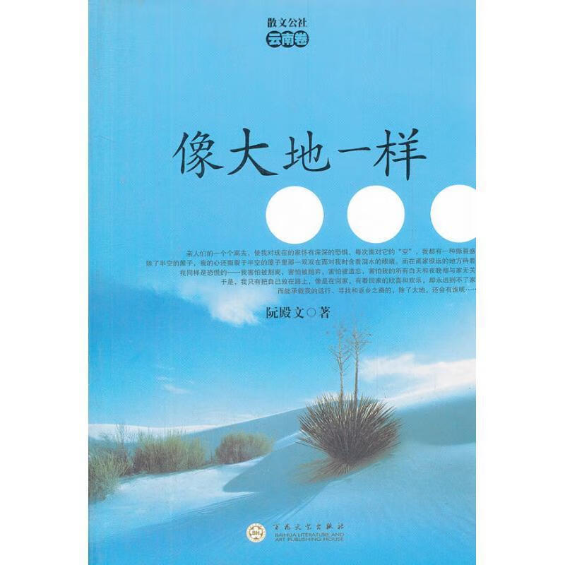 像大地一样 阮殿文