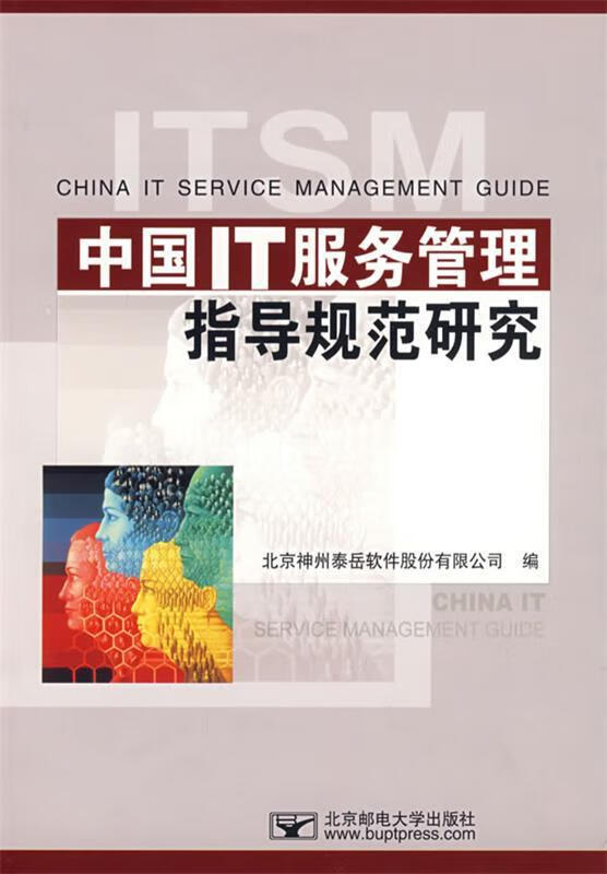 中国IT服务管理指导规范研究 北京神州泰岳软件股份有限公司主编【书】