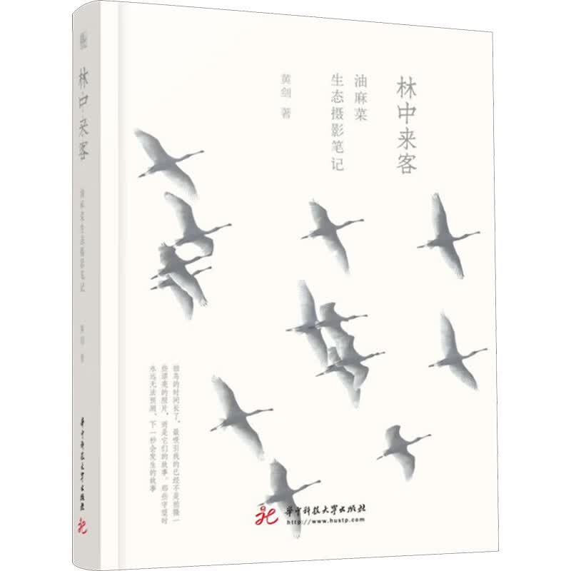 林中来客 油麻菜鸟类观察手记 图书