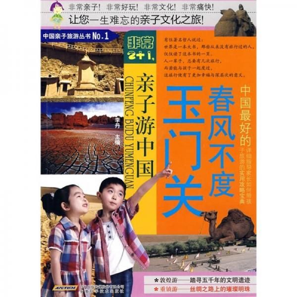 春风不度玉门关9787533745684